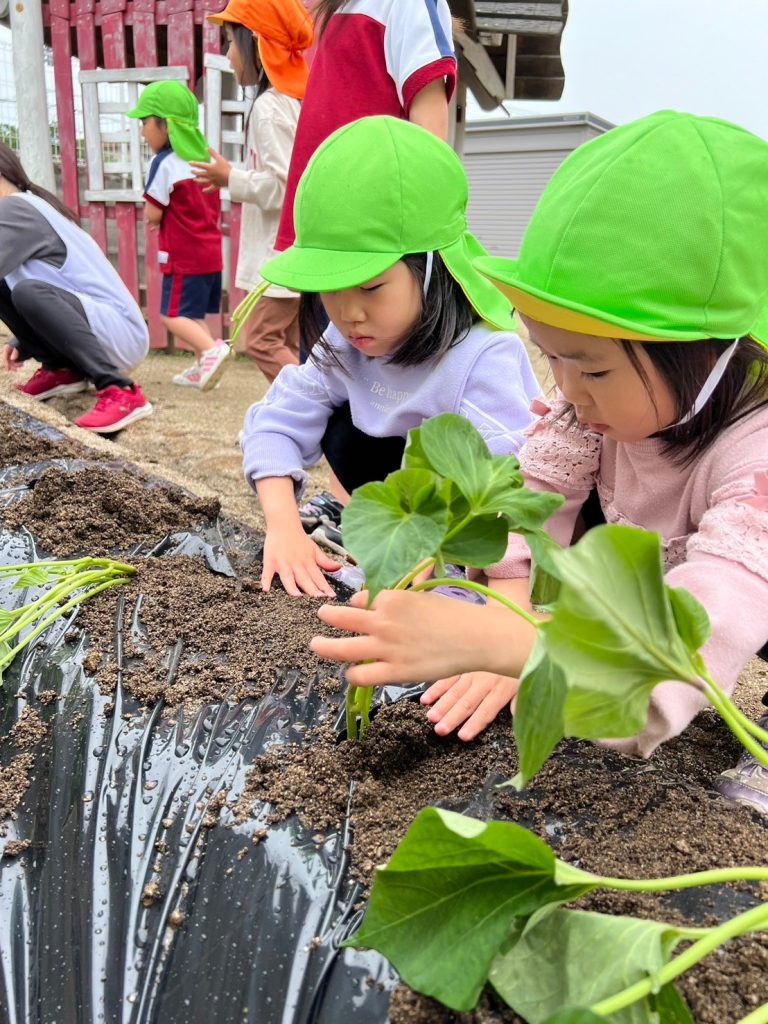 4415A83D-7C01-41F3-A4A9-77030C7DC988 | 社会福祉法人ひだまり会 かざぐるま保育園